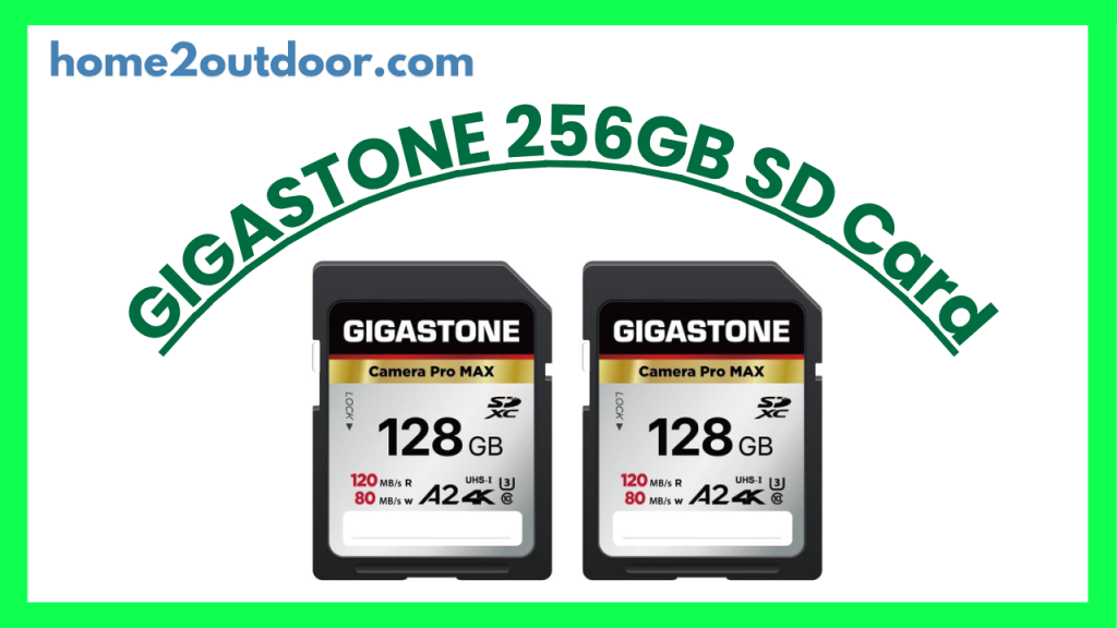 GIGASTONE 256GB SD Card Review - Home 2 outdoor